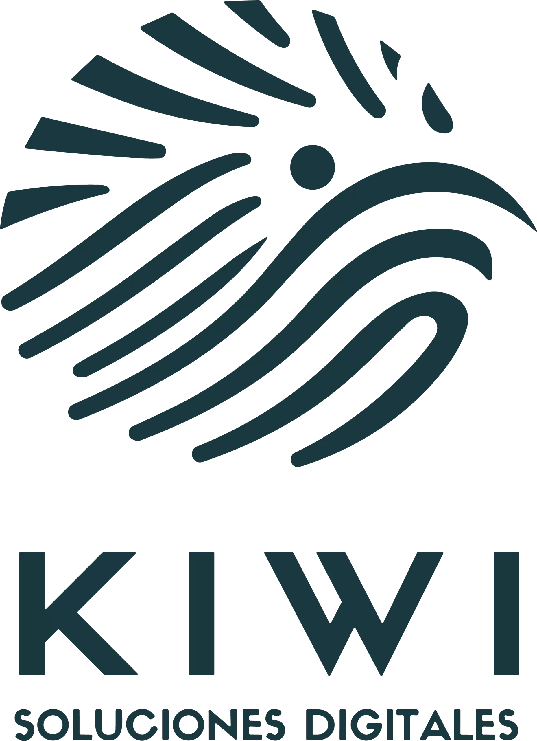 Movimiento cargado exitosamente - Kiwi Soluciones Digitales